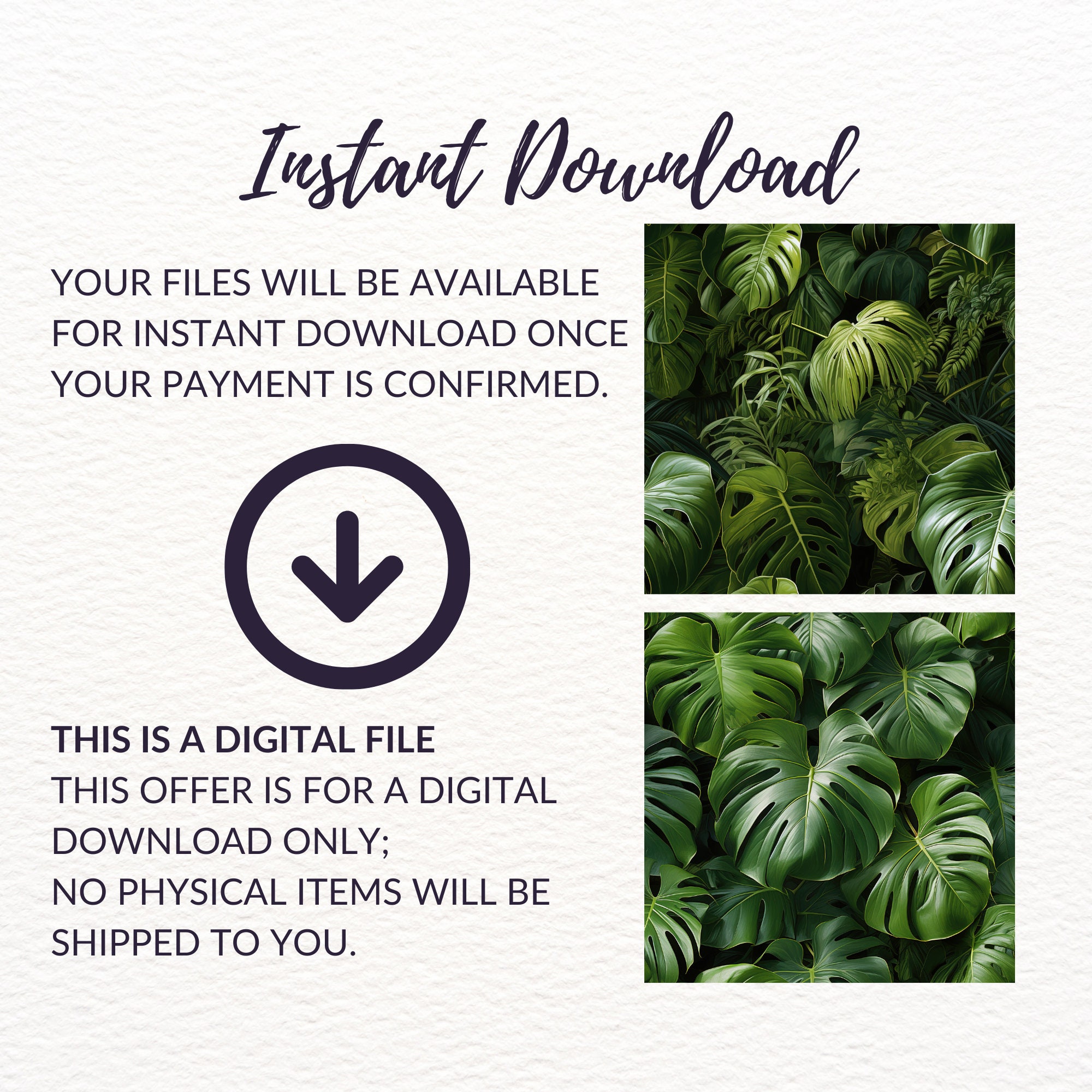 Monstera Leaf Seamless Pattern - 20 Tropical Green Leaves Digital Paper ...