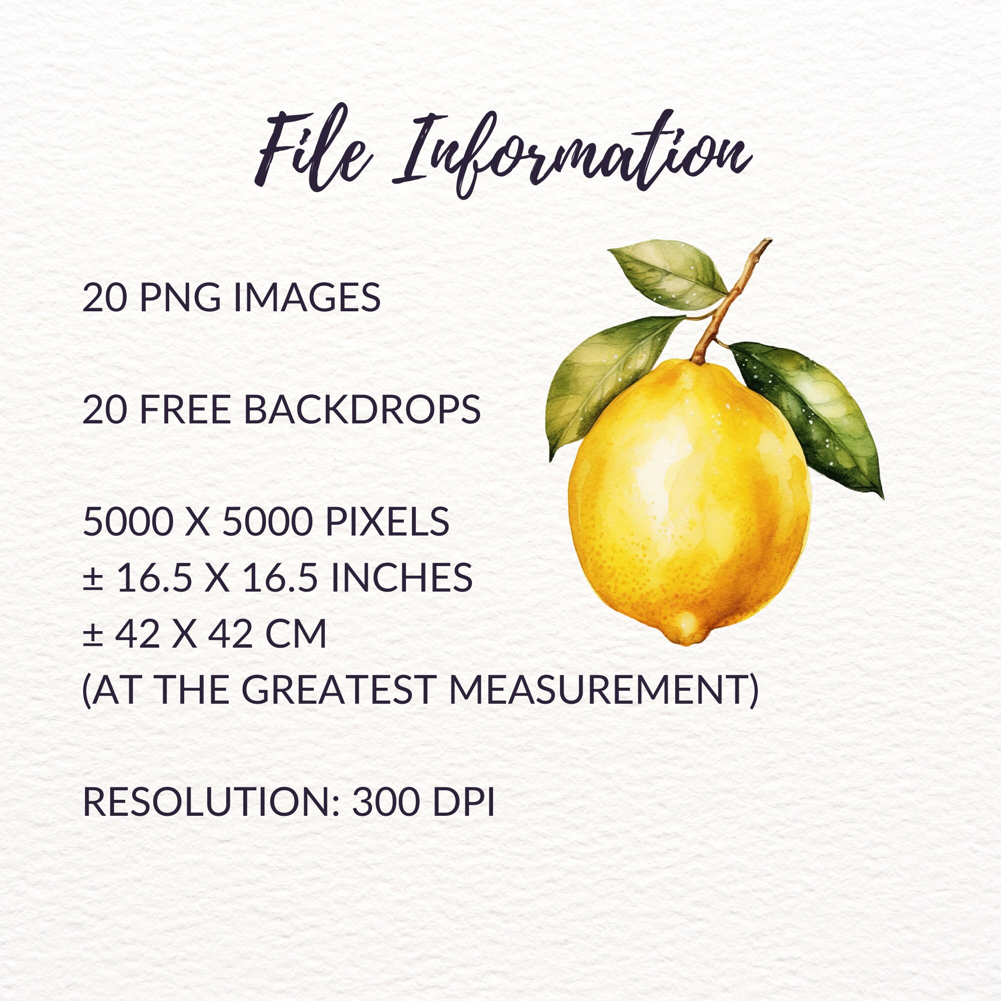 Watercolor Lemon Clipart Bundle 20 Citrus Fruit PNG Graphics, Instant ...