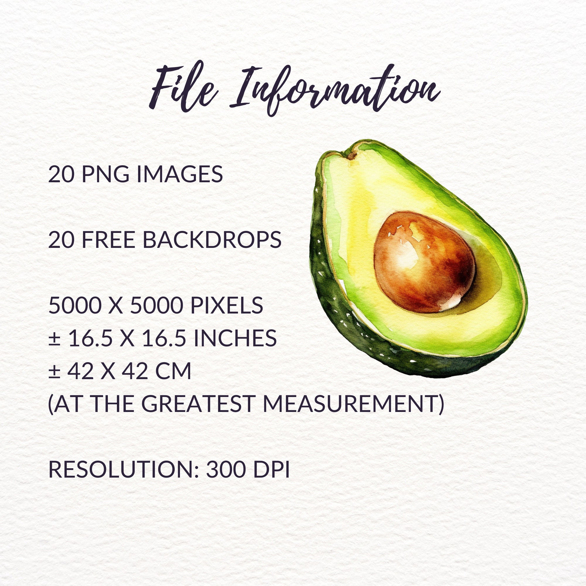 Watercolor Avocado Clipart Bundle - 20 Digital Avocado Images, Fruit ...