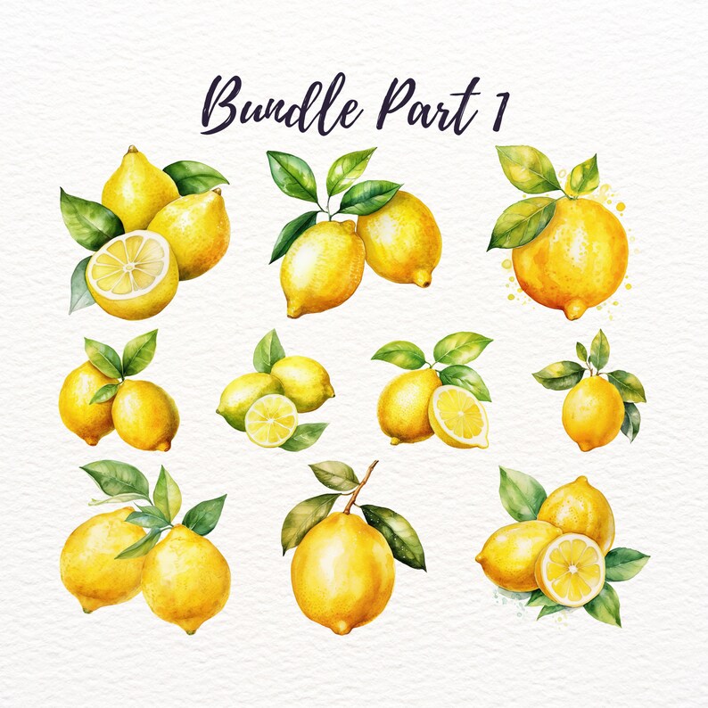 Watercolor Lemon Clipart Bundle - 20 Citrus Fruit PNG Graphics, Instant ...