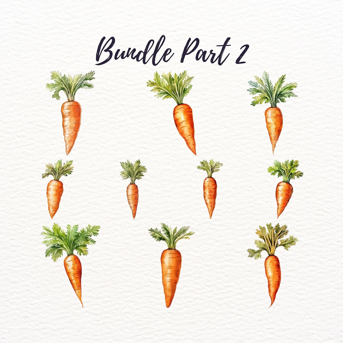 Watercolor Carrot Clipart Bundle - 20 Vegetable Garden Easter Graphics ...