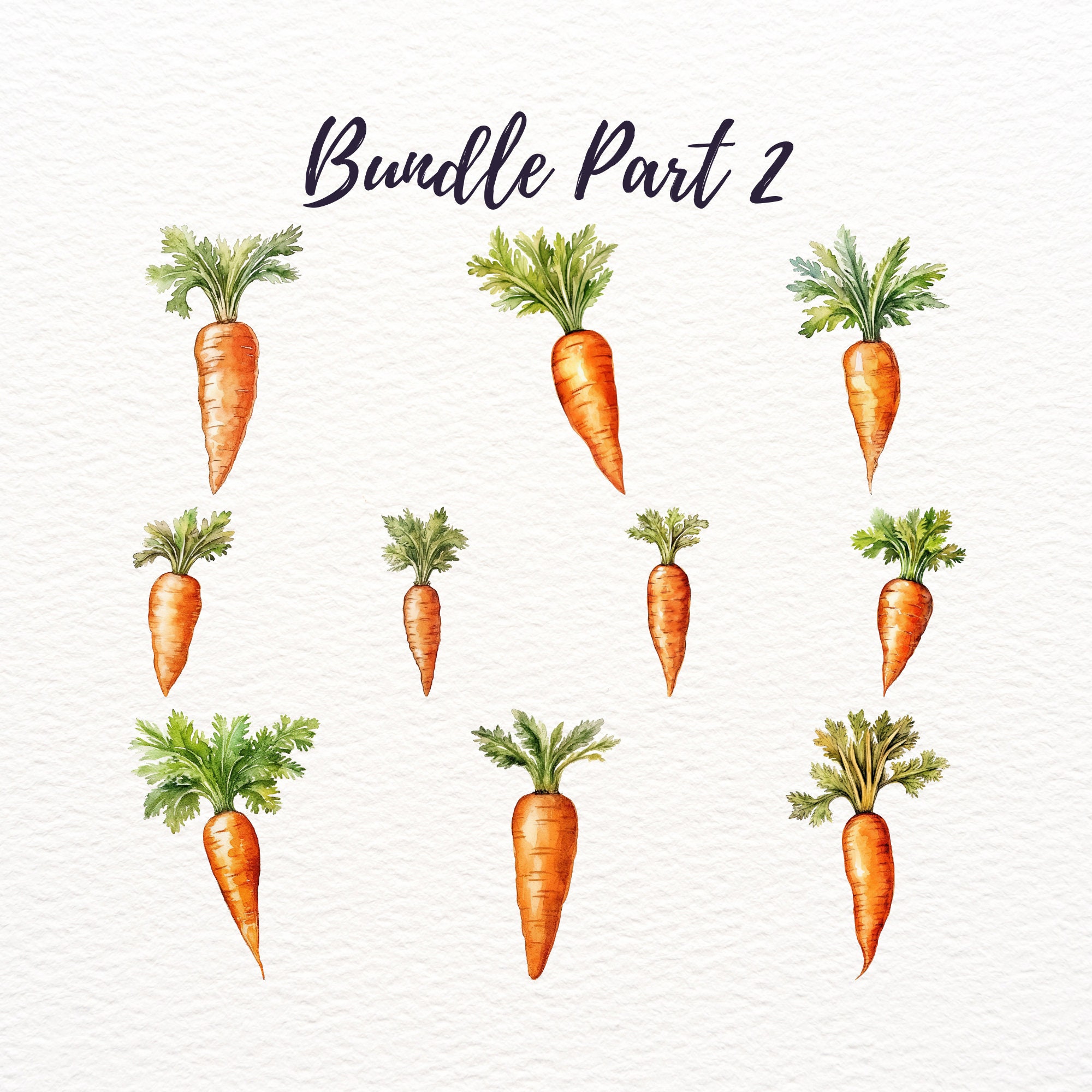 Watercolor Carrot Clipart Bundle - 20 Vegetable Garden Easter Graphics ...