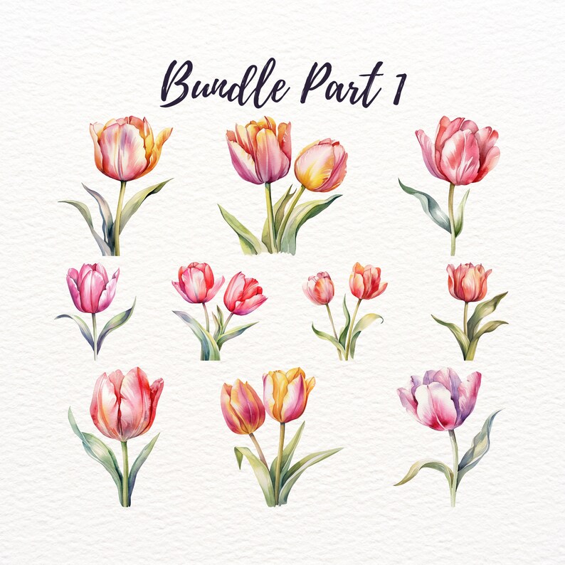 Watercolor Tulip Clipart Bundle 20 Floral Spring PNG Graphics, Instant ...
