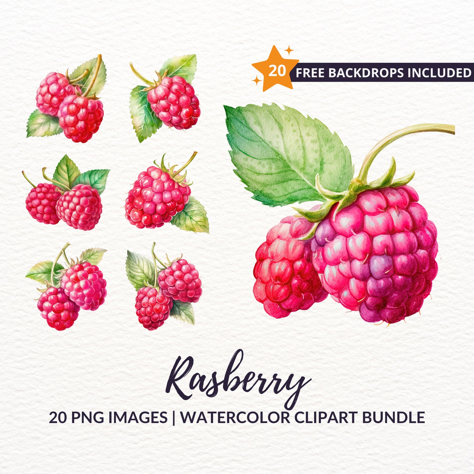 Watercolor Raspberry Clipart Bundle 20 Juicy Berry Illustrations ...