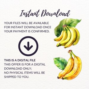 Watercolor Banana Clipart Bundle - 20 Tropical Fruit PNG Digital Clip ...