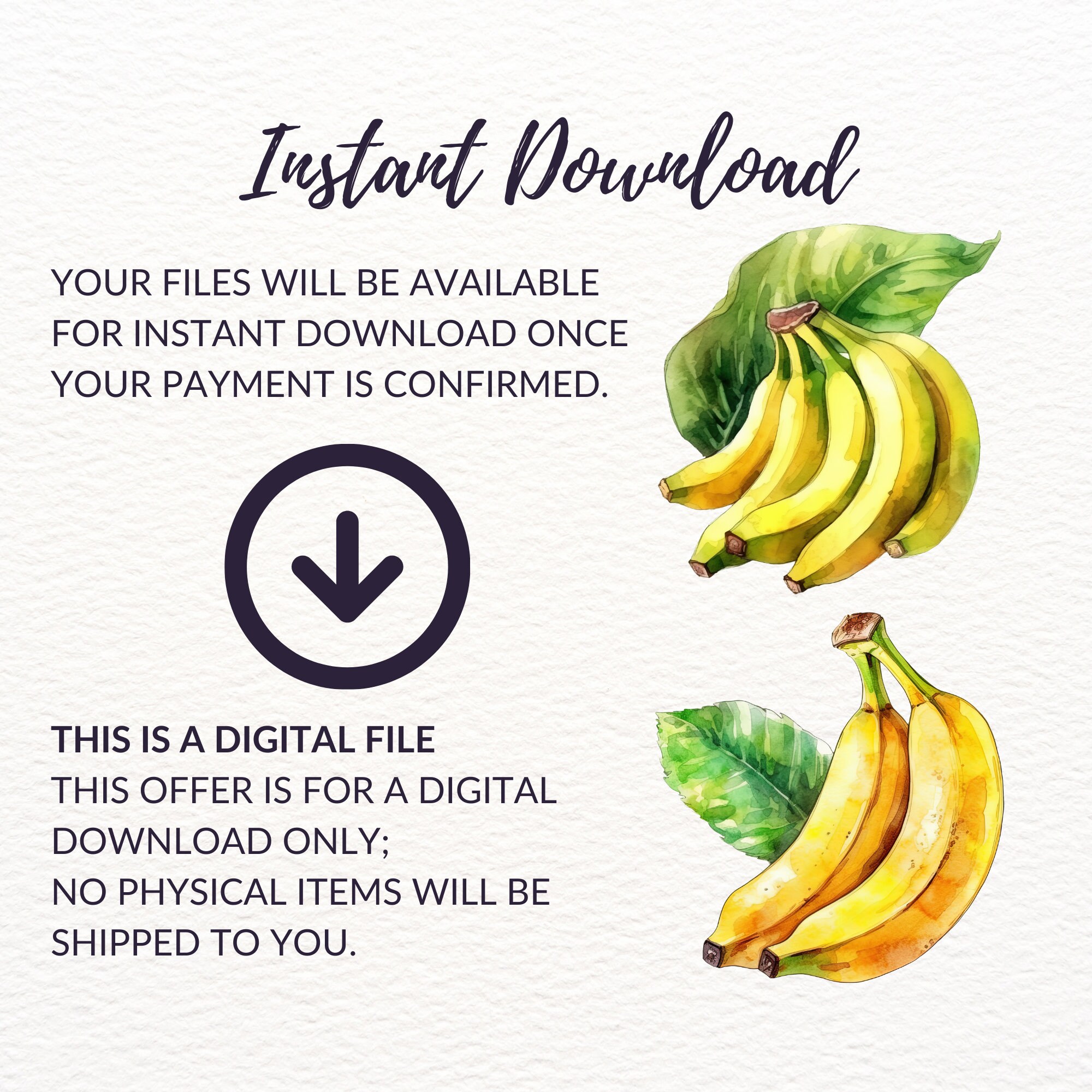 Watercolor Banana Clipart Bundle 20 Tropical Fruit PNG Digital Clip Art ...