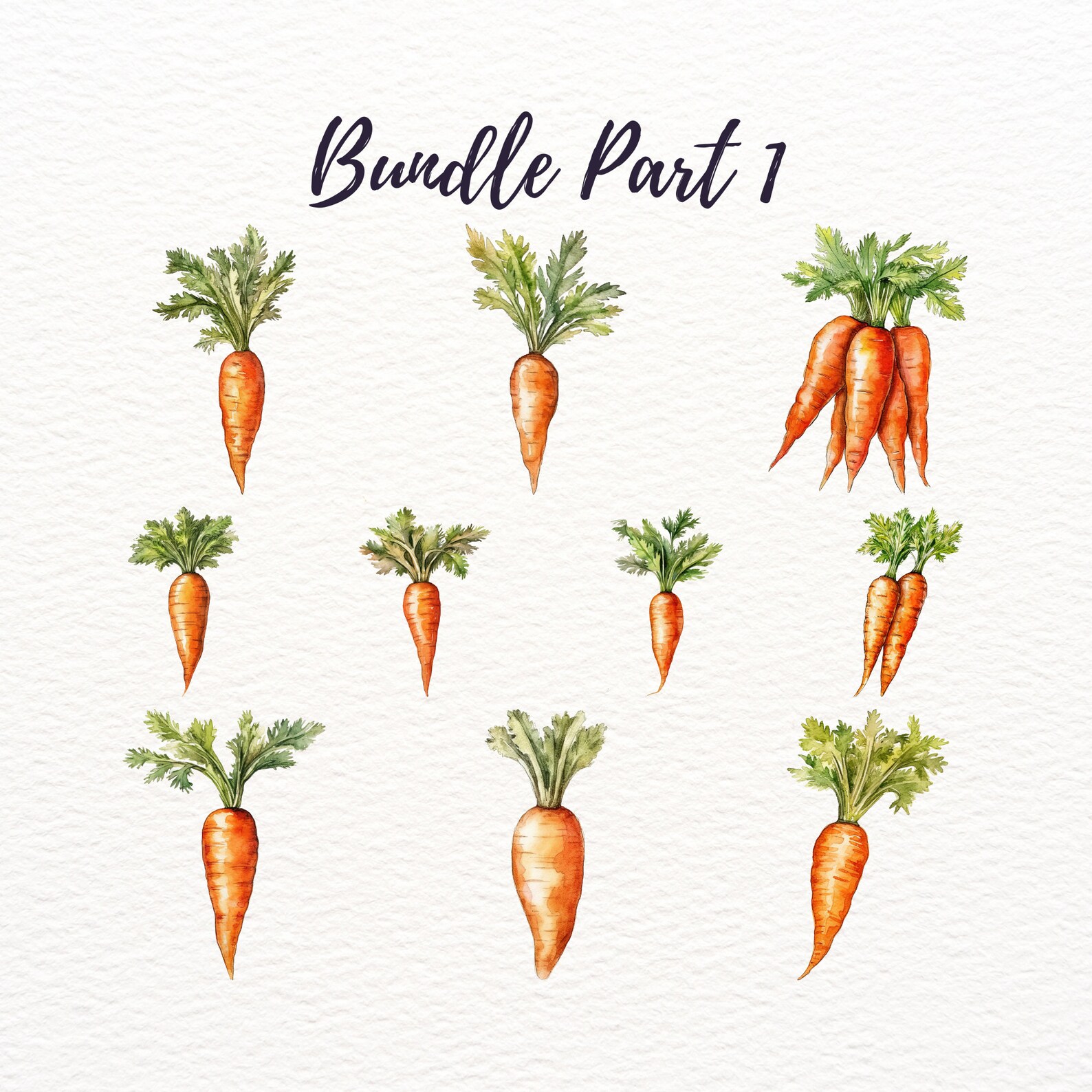Watercolor Carrot Clipart Bundle - 20 Vegetable Garden Easter Graphics ...