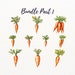 Watercolor Carrot Clipart Bundle - 20 Vegetable Garden Easter Graphics ...