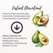 Watercolor Avocado Clipart Bundle - 20 Digital Avocado Images, Fruit ...