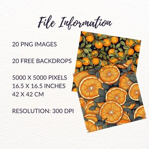 Oranges Seamless Patterns - 20 Citrus Fruit Digital Paper Backgrounds ...