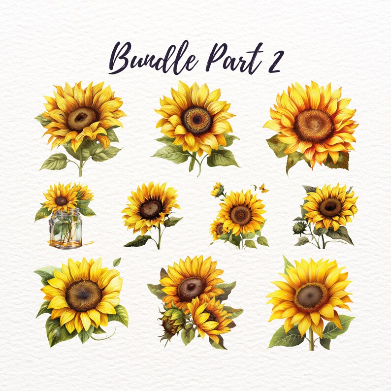 Watercolor Sunflower Clipart Bundle - 20 Sunflower PNG Images ...