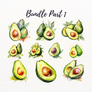 Watercolor Avocado Clipart Bundle - 20 Digital Avocado Images, Fruit ...