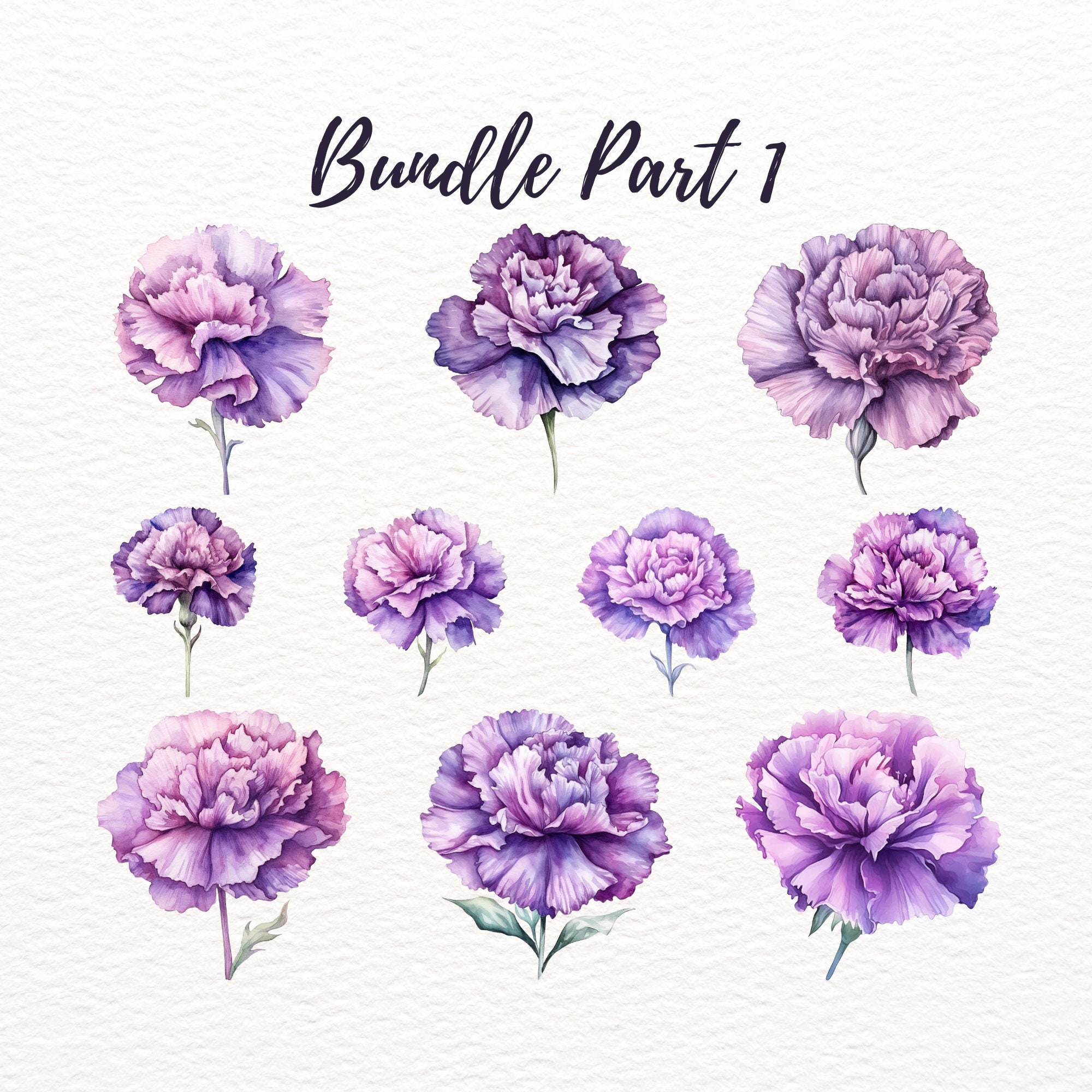 Watercolor Purple Carnation Clipart Bundle - 20 Floral Wedding Flower ...