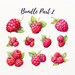Watercolor Raspberry Clipart Bundle - 20 Juicy Berry Illustrations ...