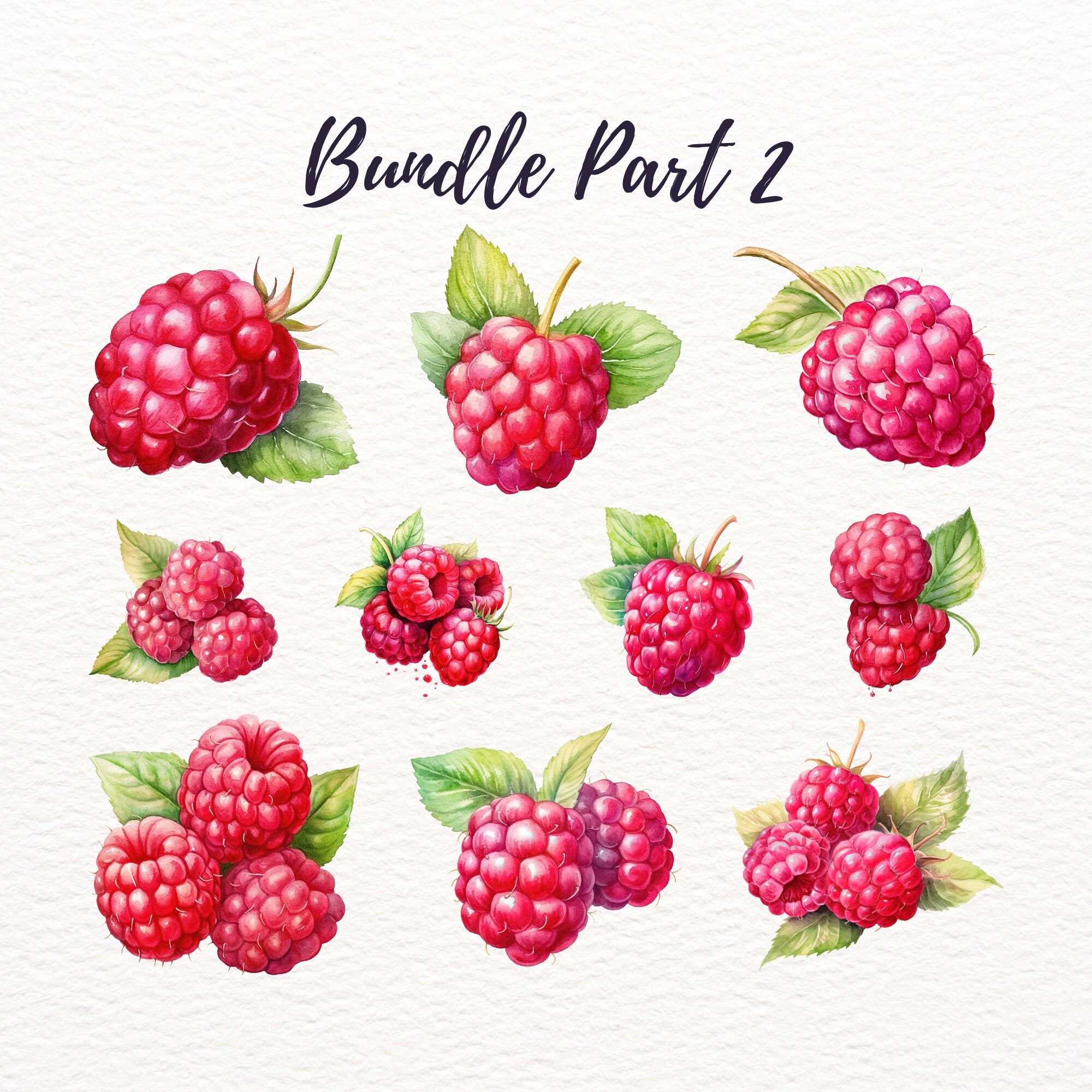 Watercolor Raspberry Clipart Bundle 20 Juicy Berry Illustrations ...
