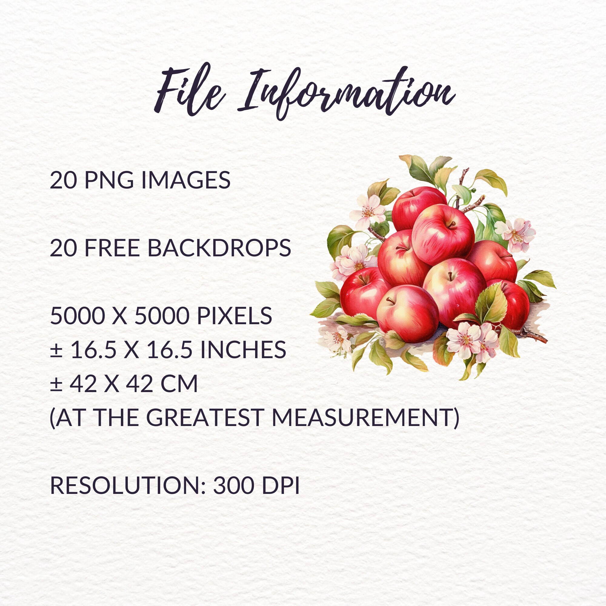 Watercolor Red Apple Clipart Bundle - 20 Digital Fruit PNG ...