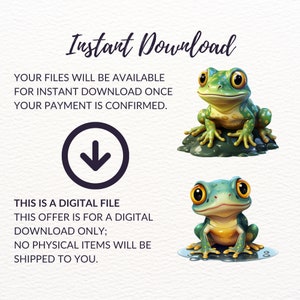 Frog Clipart Bundle - 20 Transparent PNG Images for Digital Crafting ...
