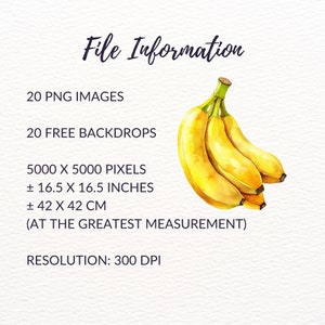 Watercolor Banana Clipart Bundle - 20 Tropical Fruit PNG Digital Clip ...