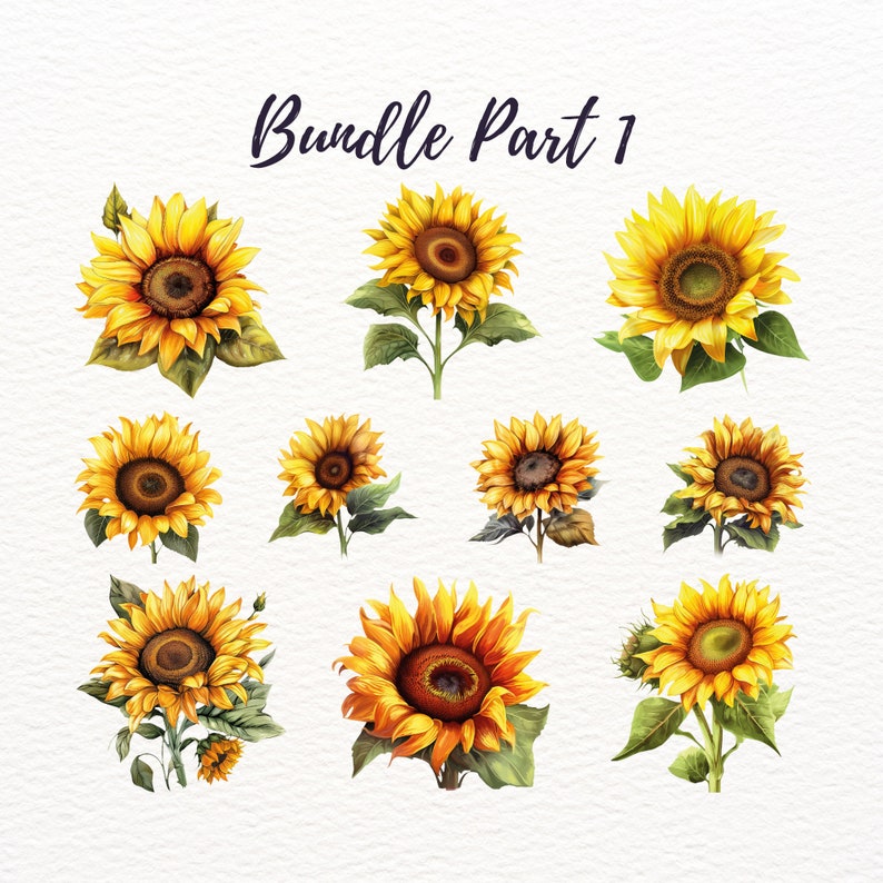 Watercolor Sunflower Clipart Bundle - 20 Sunflower PNG Images ...