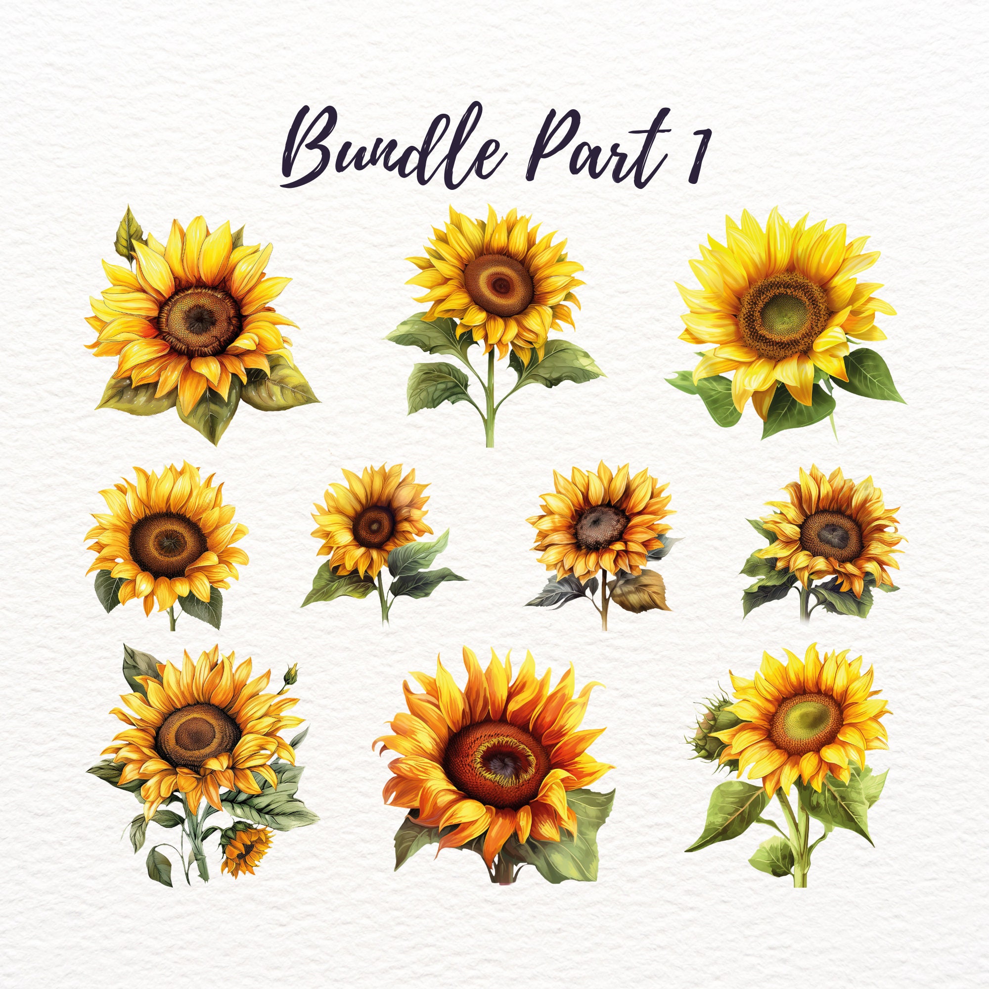 Watercolor Sunflower Clipart Bundle - 20 Sunflower PNG Images ...