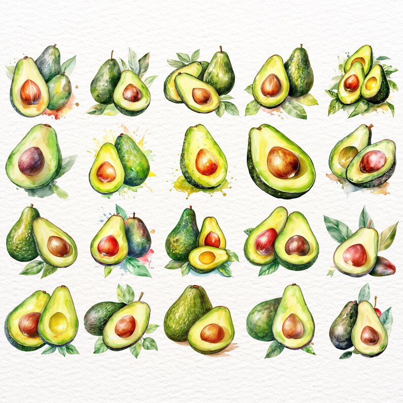 Watercolor Avocado Clipart Bundle 20 Digital Avocado Images, Fruit ...