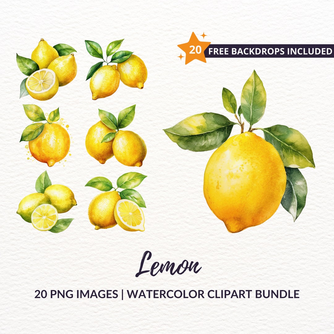 Watercolor Lemon Clipart Bundle - 20 Citrus Fruit PNG Graphics, Instant ...