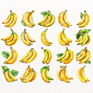 Watercolor Banana Clipart Bundle - 20 Tropical Fruit PNG Digital Clip ...