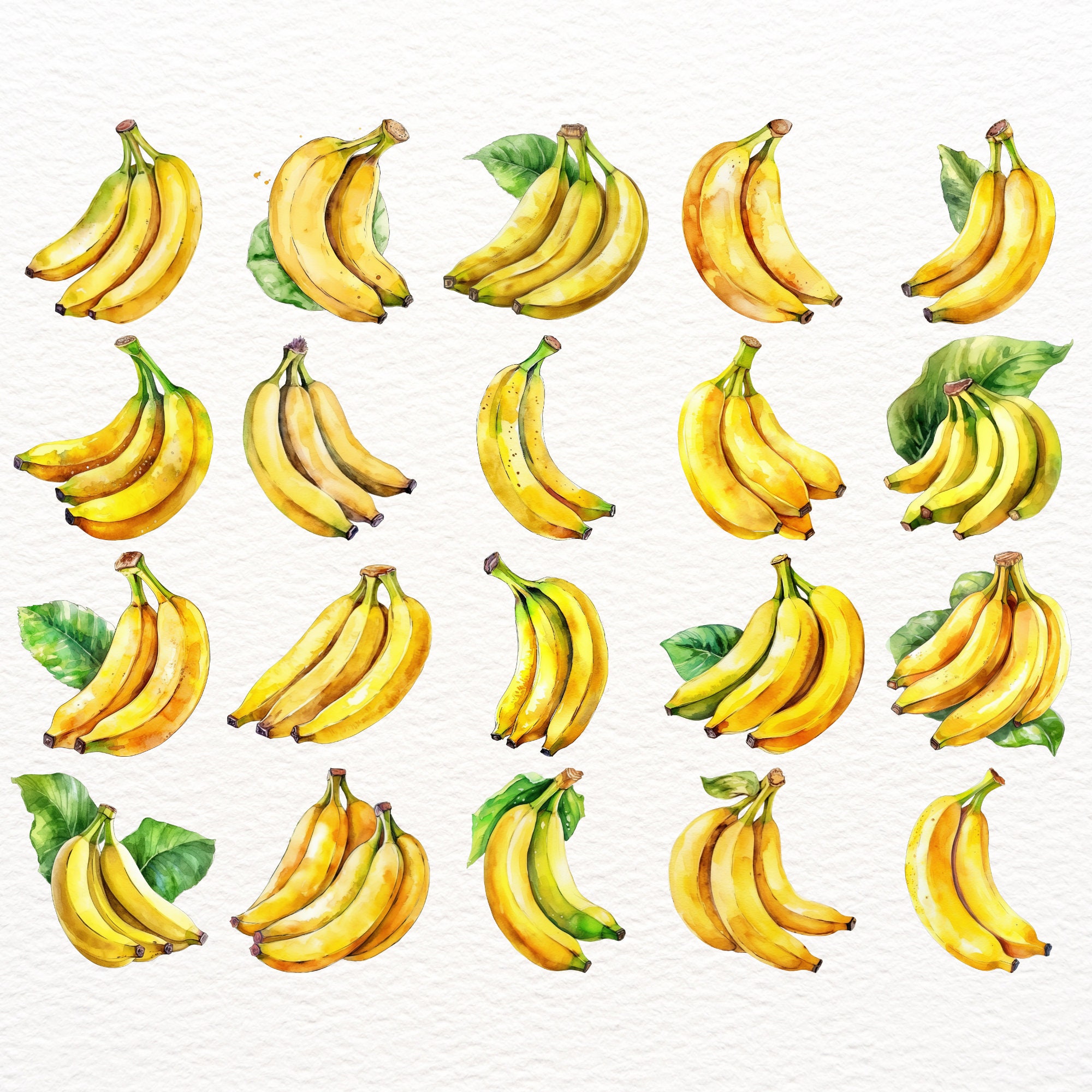 Watercolor Banana Clipart Bundle 20 Tropical Fruit PNG Digital Clip Art ...