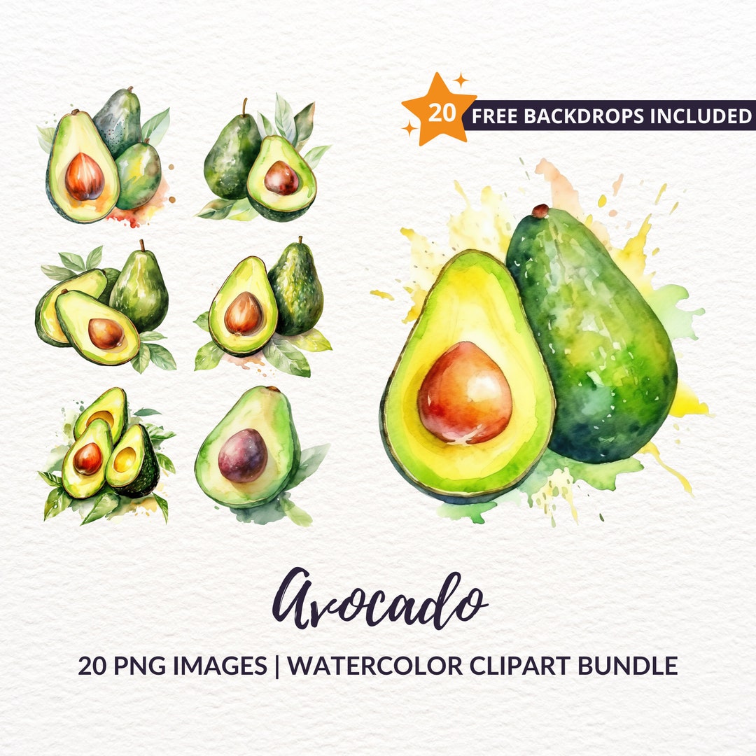 Watercolor Avocado Clipart Bundle - 20 Digital Avocado Images, Fruit ...