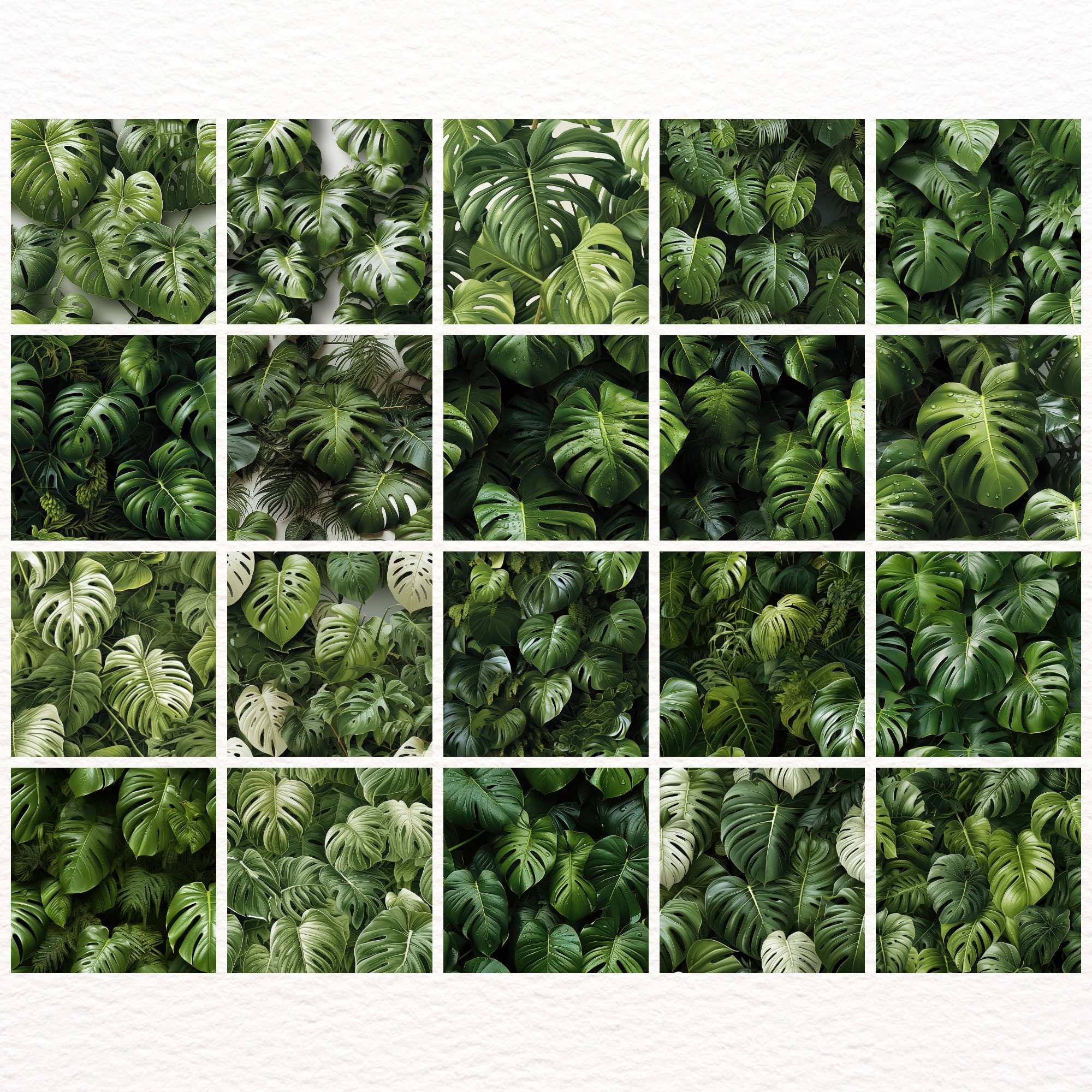 Monstera Leaf Seamless Pattern - 20 Tropical Green Leaves Digital Paper ...