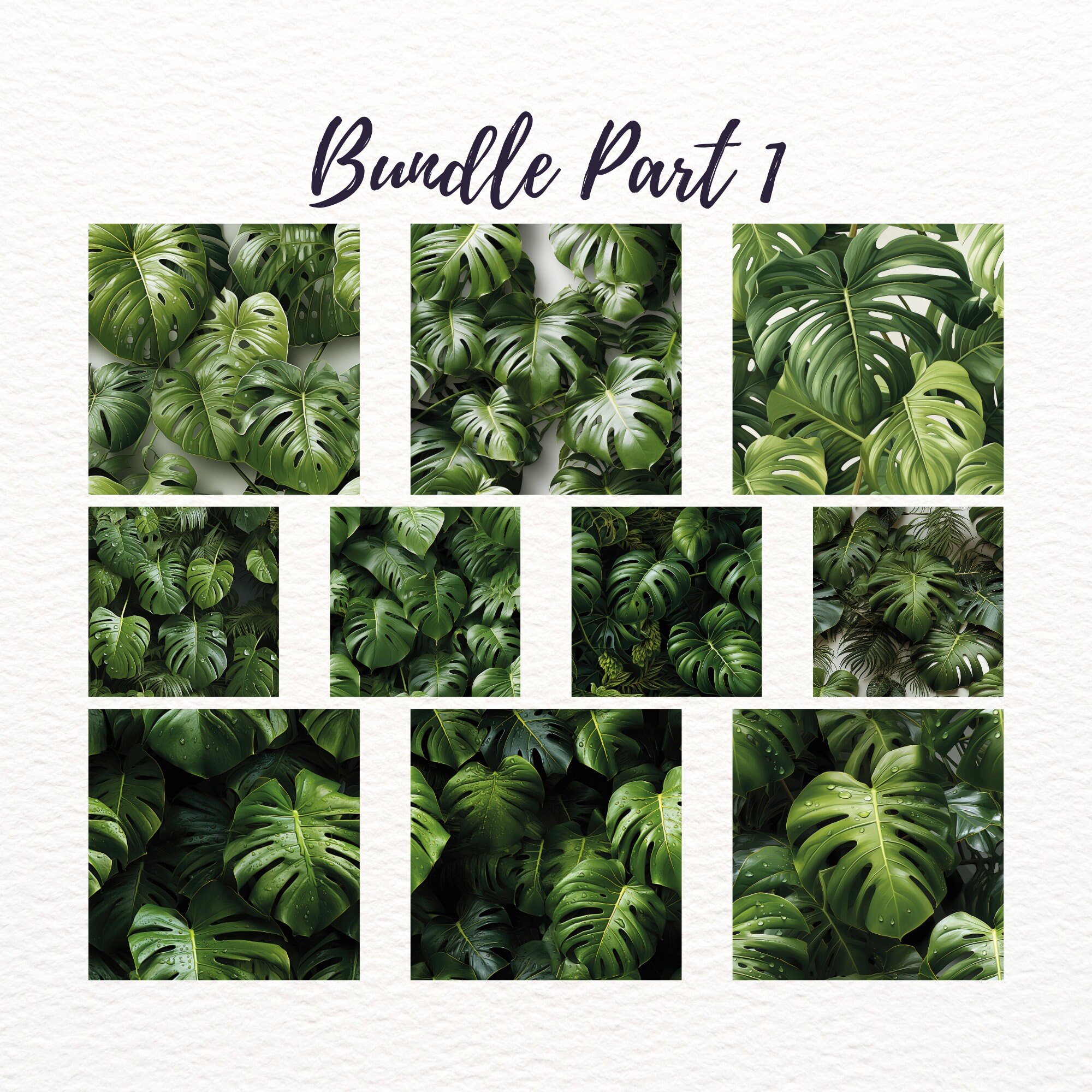 Monstera Leaf Seamless Pattern 20 Tropical Green Leaves Digital Paper ...