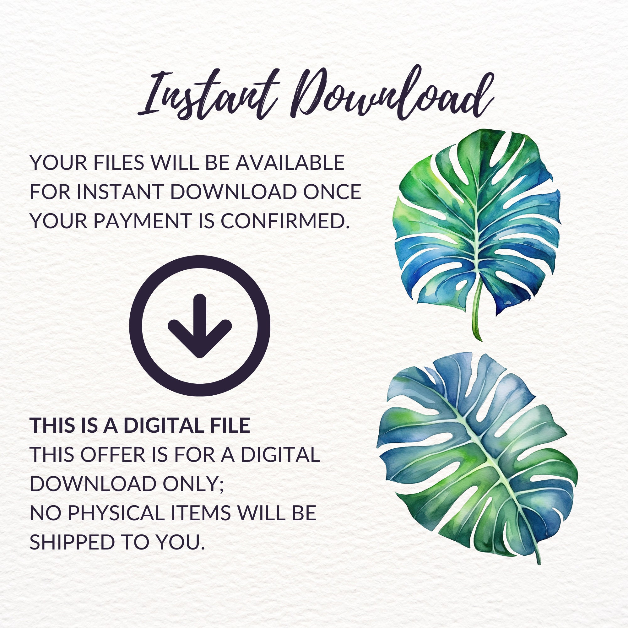 Watercolor Monstera Leaf Clipart Bundle 20 Tropical Jungle Leaves ...