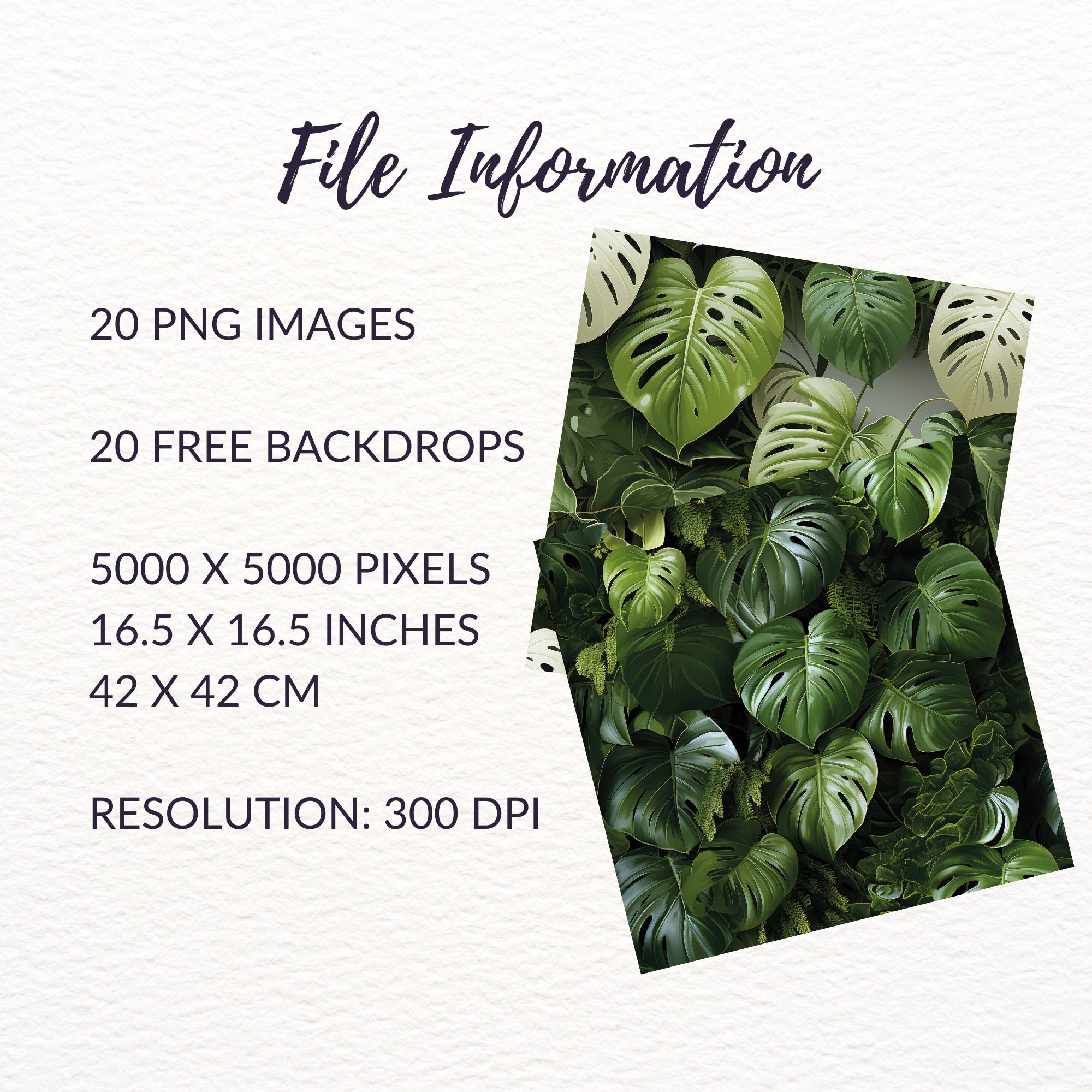 Monstera Leaf Seamless Pattern - 20 Tropical Green Leaves Digital Paper ...