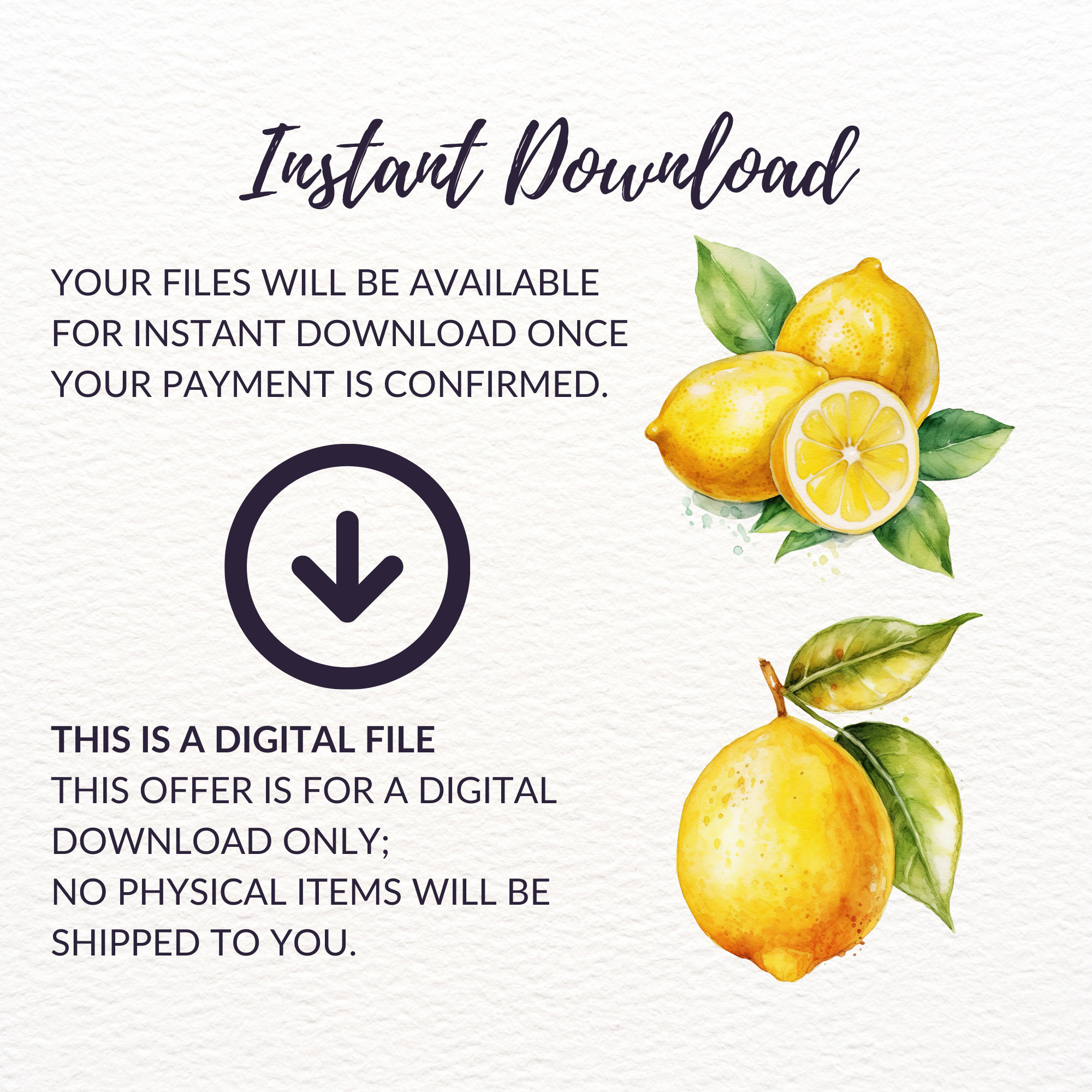 Watercolor Lemon Clipart Bundle - 20 Citrus Fruit PNG Graphics, Instant ...