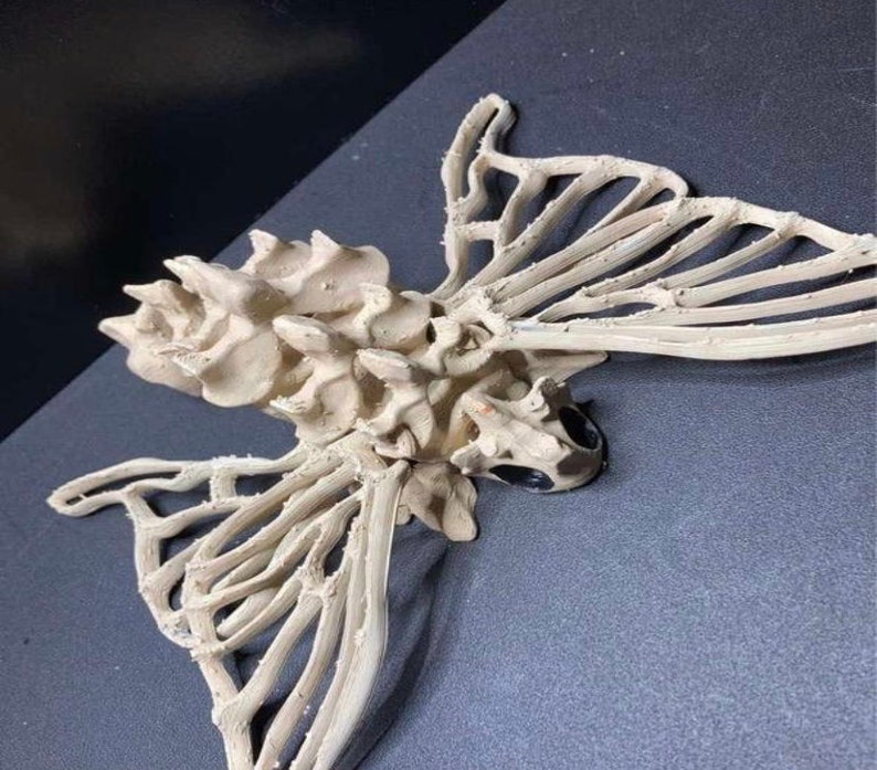 Bone Moth - Etsy