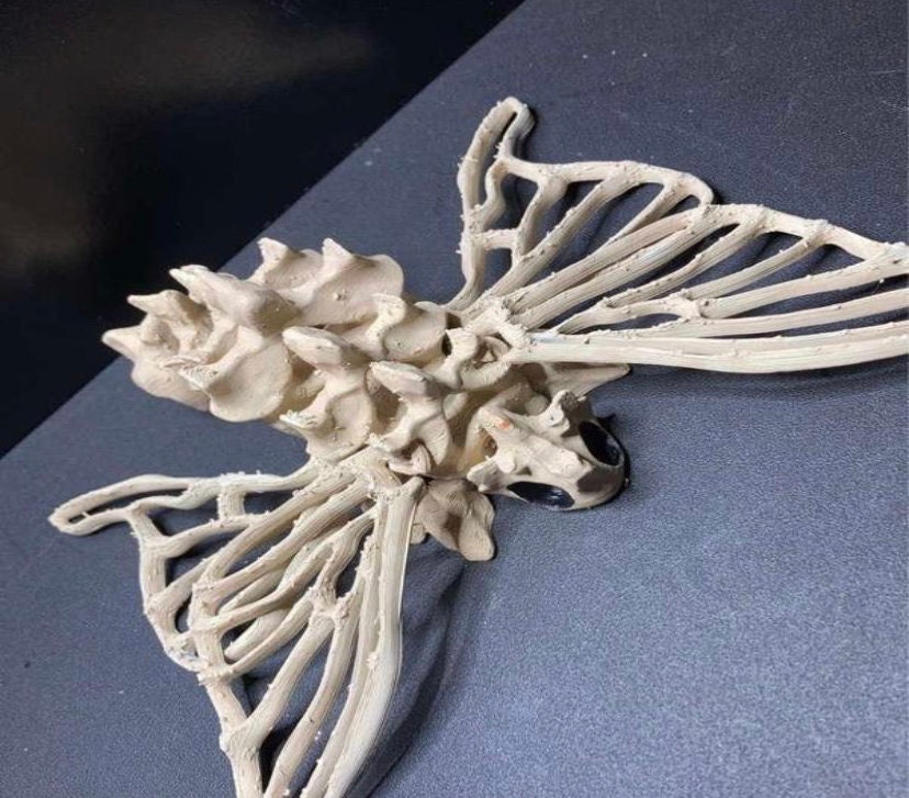 Bone Moth - Etsy