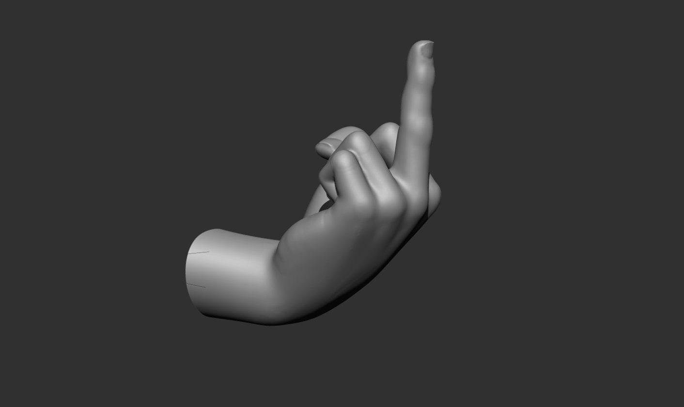 Middle Finger STL Files, Wall Sculpture 3D Printable Model, 3D Print ...