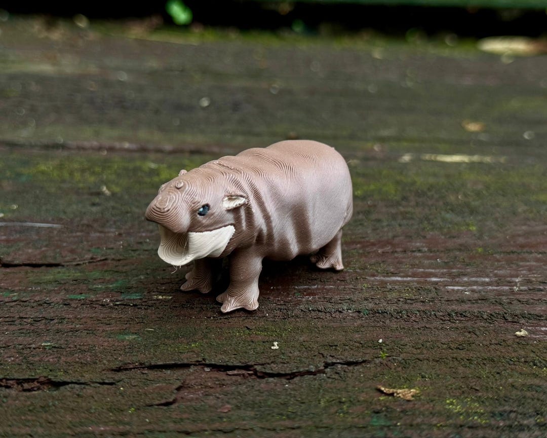 Moo Deng the Baby Pygmy Hippo – 3D Printed, Colorful & Cute Desk Buddy ...