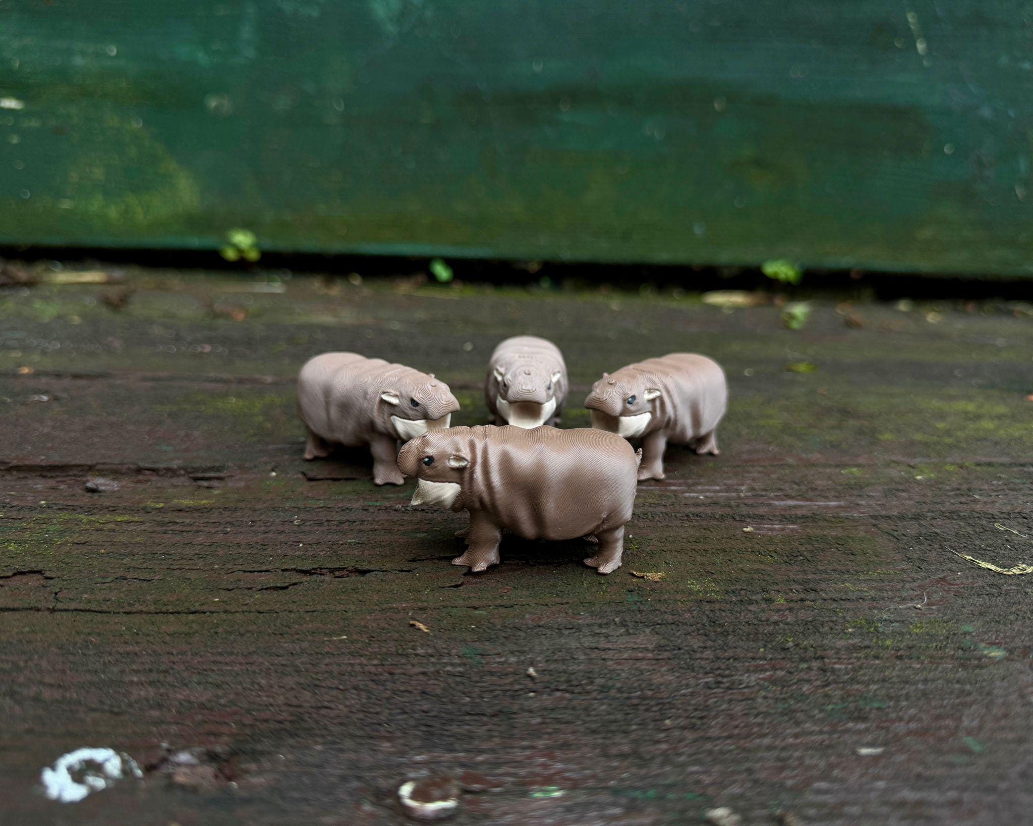 Moo Deng the Baby Pygmy Hippo – 3D Printed, Colorful & Cute Desk Buddy ...