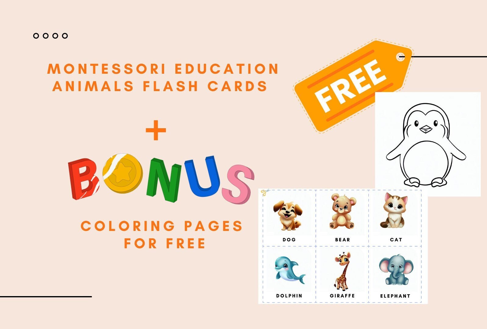 12 Animals, Editable Montessori Flash Cards FREE BONUS, Nomenclature ...
