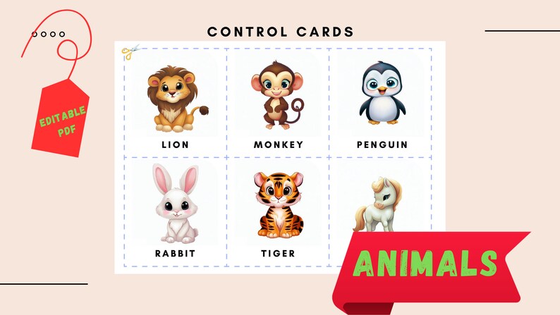 12 Animals, Editable Montessori Flash Cards FREE BONUS, Nomenclature ...