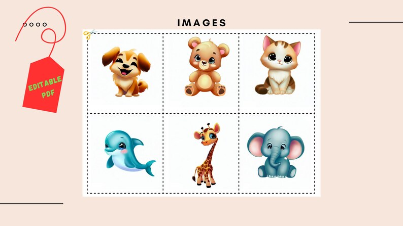 12 Animals, Editable Montessori Flash Cards FREE BONUS, Nomenclature ...