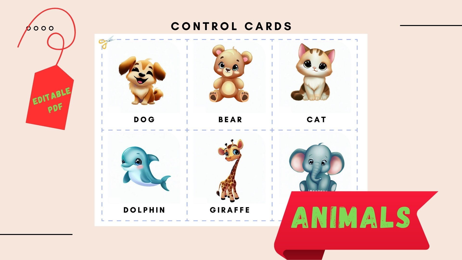 12 Animals, Editable Montessori Flash Cards FREE BONUS, Nomenclature ...