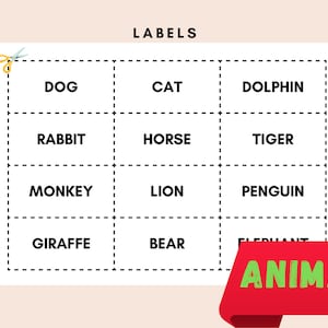 12 Animals, Editable Montessori Flash Cards FREE BONUS, Nomenclature ...