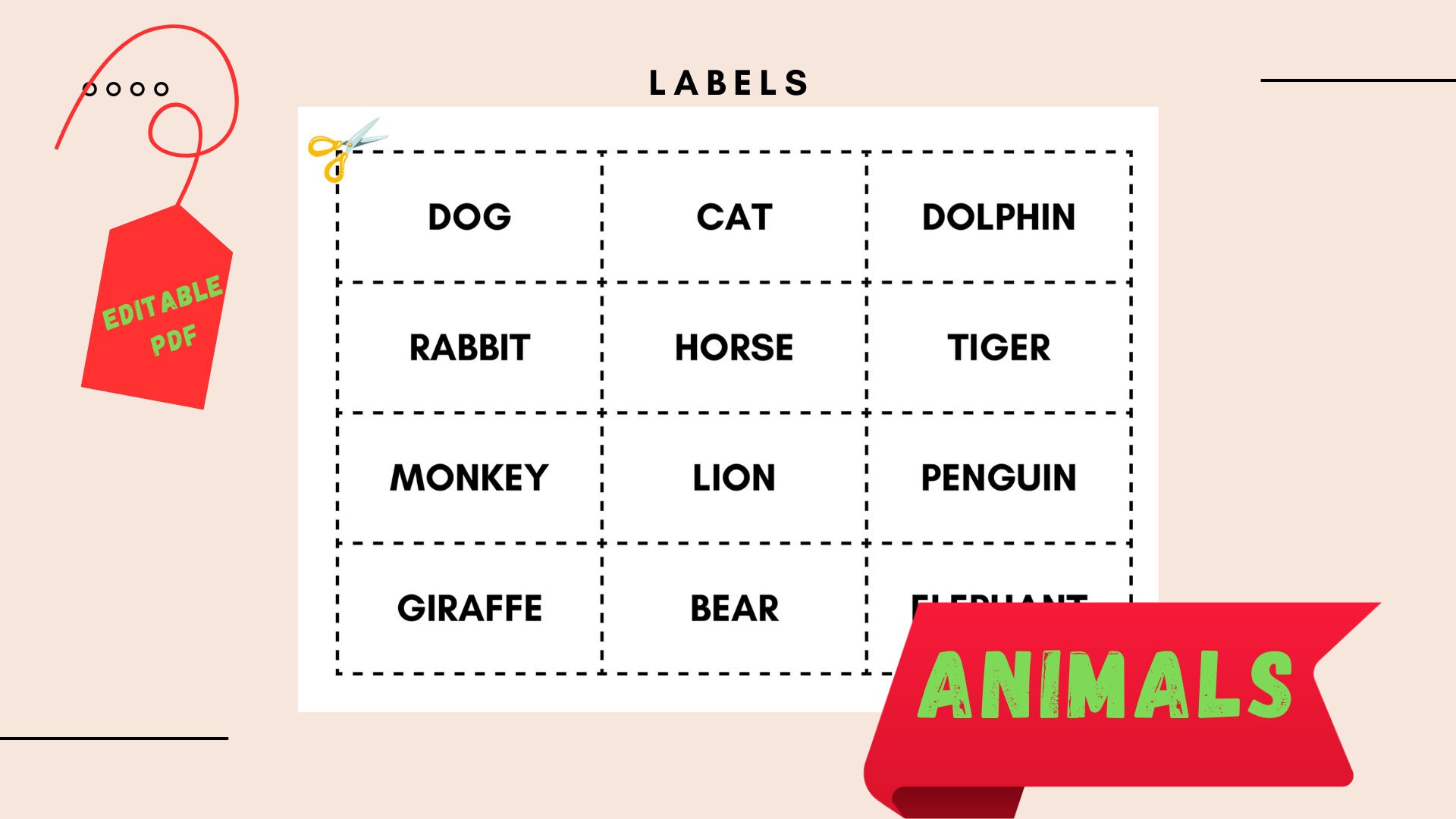 12 Animals, Editable Montessori Flash Cards FREE BONUS, Nomenclature ...