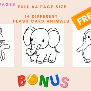 12 Animals, Editable Montessori Flash Cards FREE BONUS, Nomenclature ...