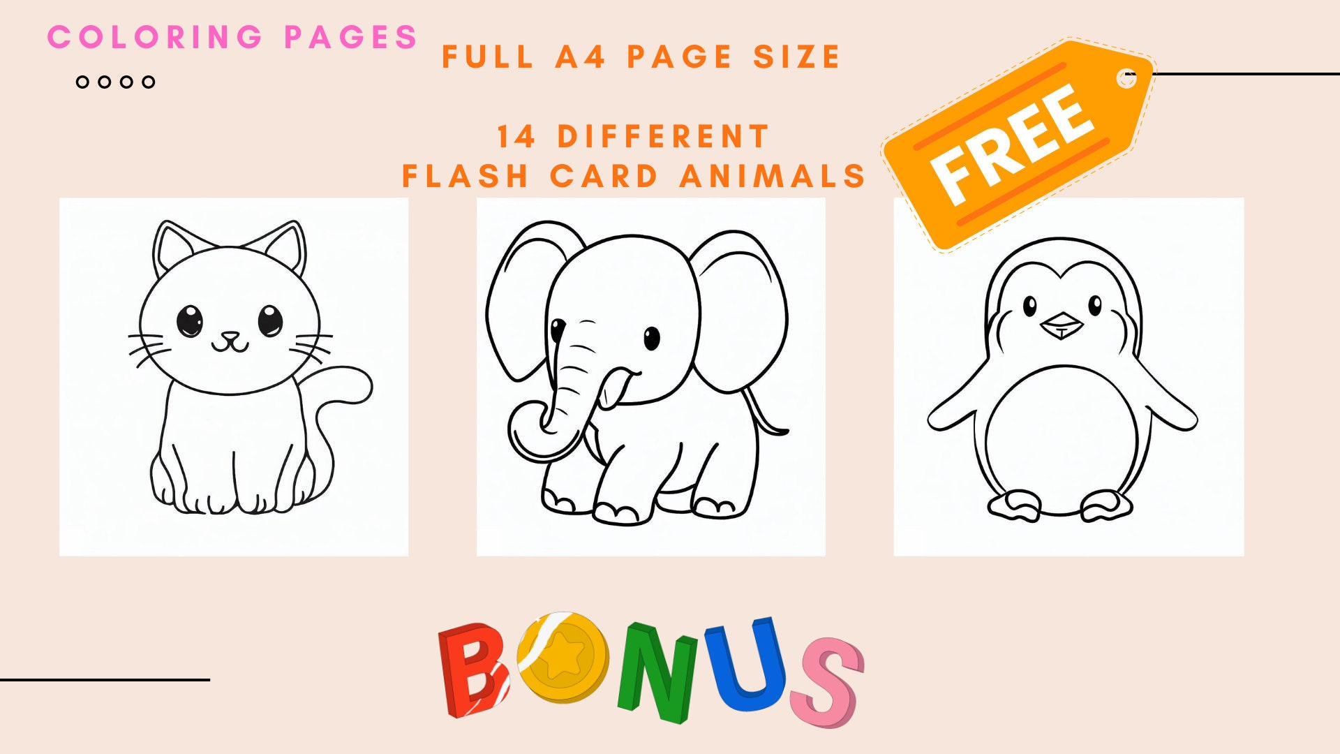 12 Animals, Editable Montessori Flash Cards FREE BONUS, Nomenclature ...