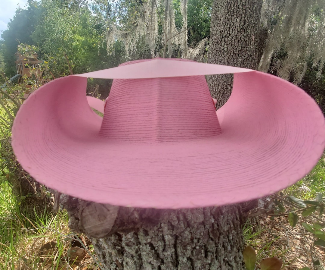 Calentano Hat for Women Tlapehuala Guerrerense Guerrero Mexico Mexican ...