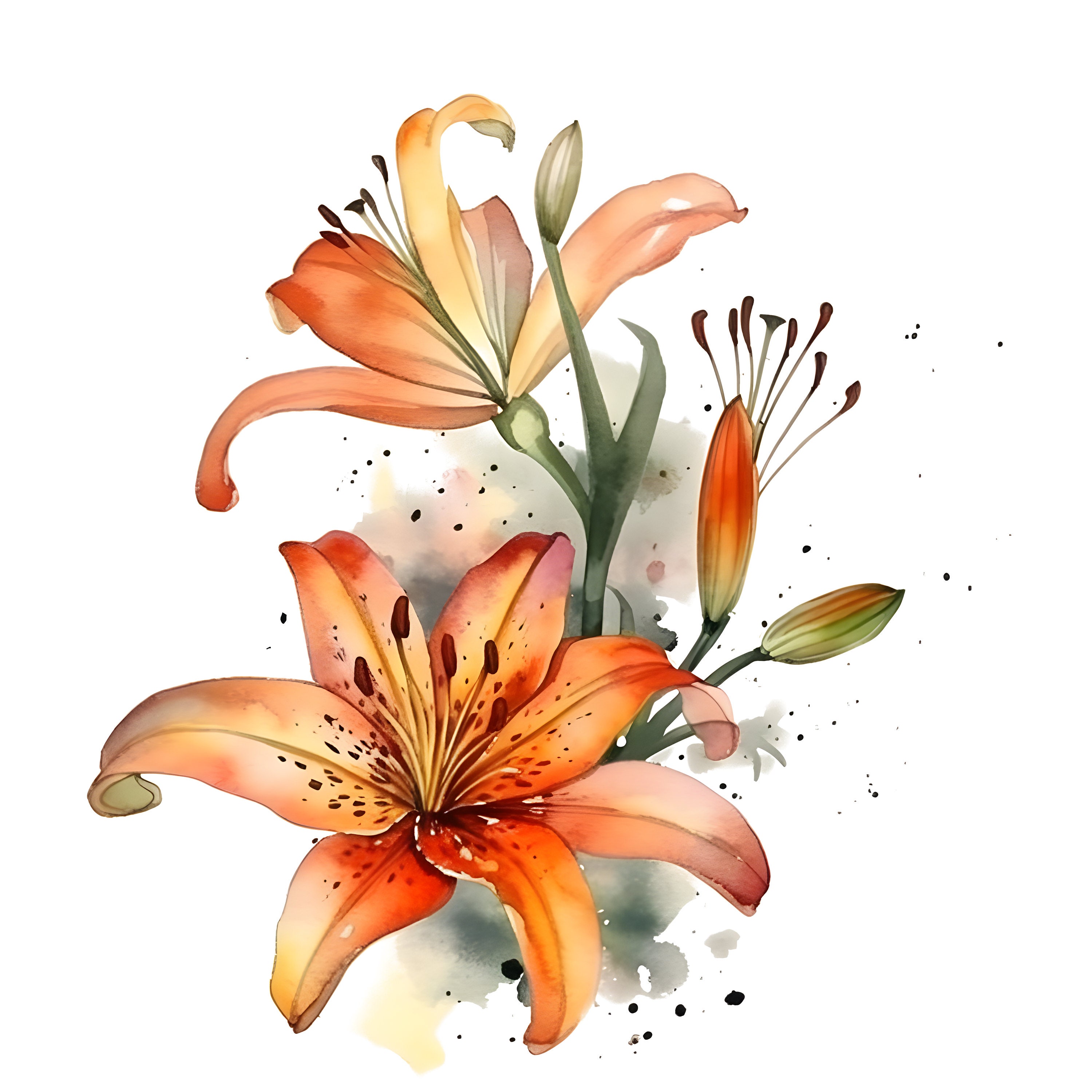 Lilies Watercolor Clipart Lilies Bundle Clipart Botanical - Etsy