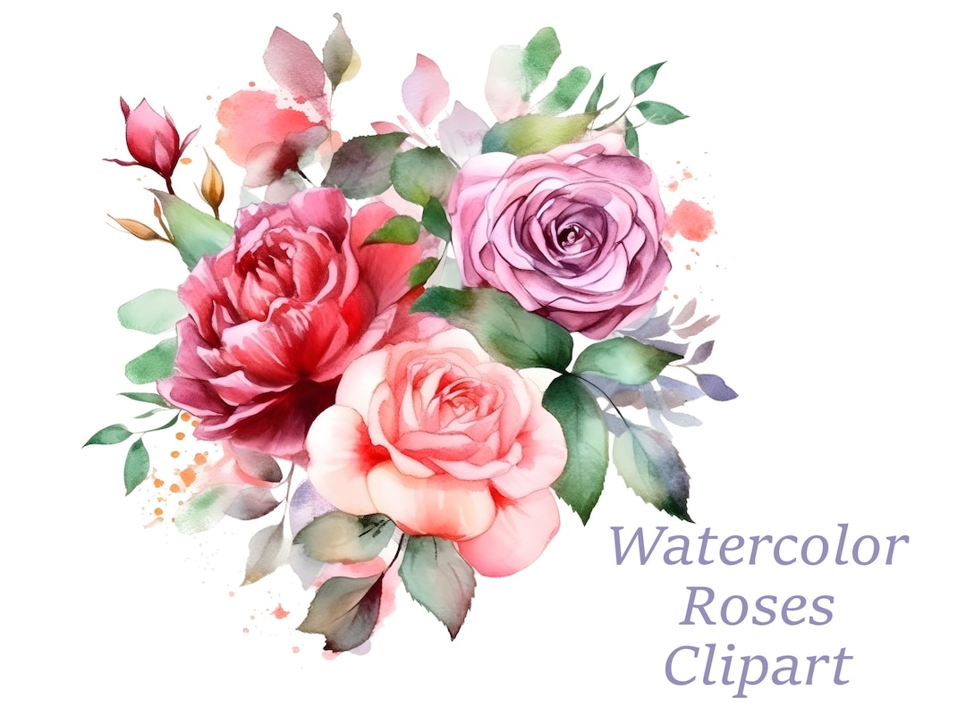 Watercolor Roses Clipart Bundle: Botanical Illustration (digital ...